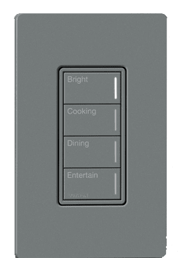Lutron Homeworks
